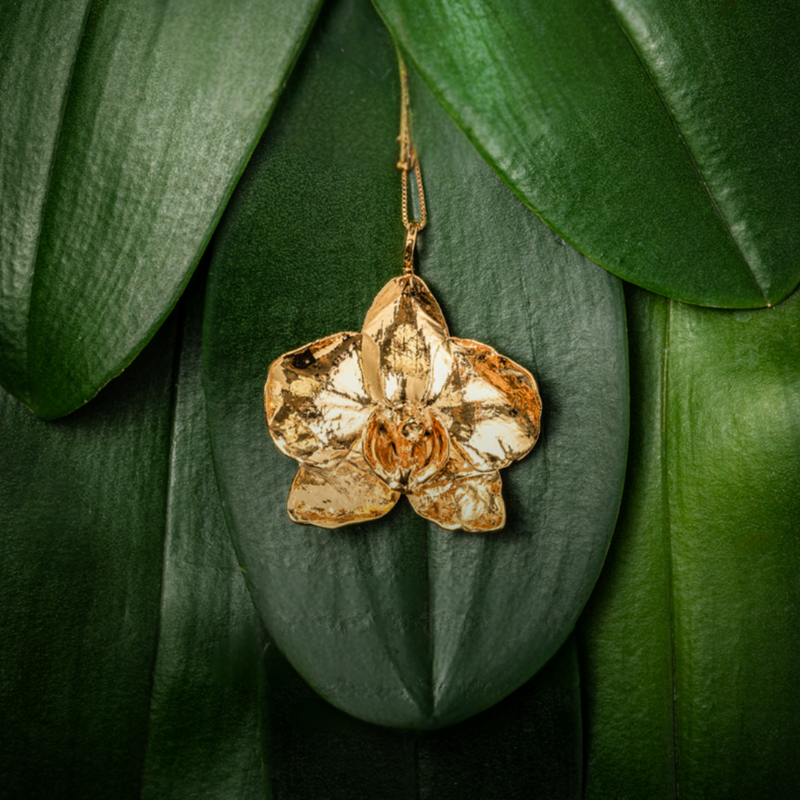 A Celebration of Nature in Jewellery – Treasures of Brazil
